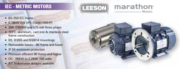 LEESON Electric Motor - directdrives.com